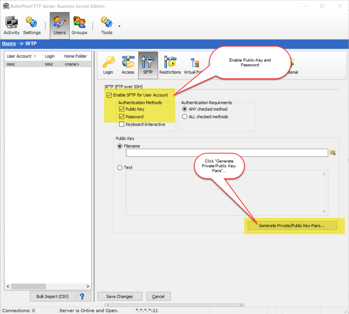 Step 1 – BulletProof FTP Server